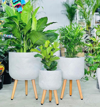 Tripod pot planter